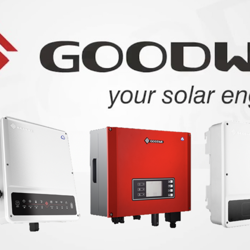 Enjoy Solar Power – Evergreen